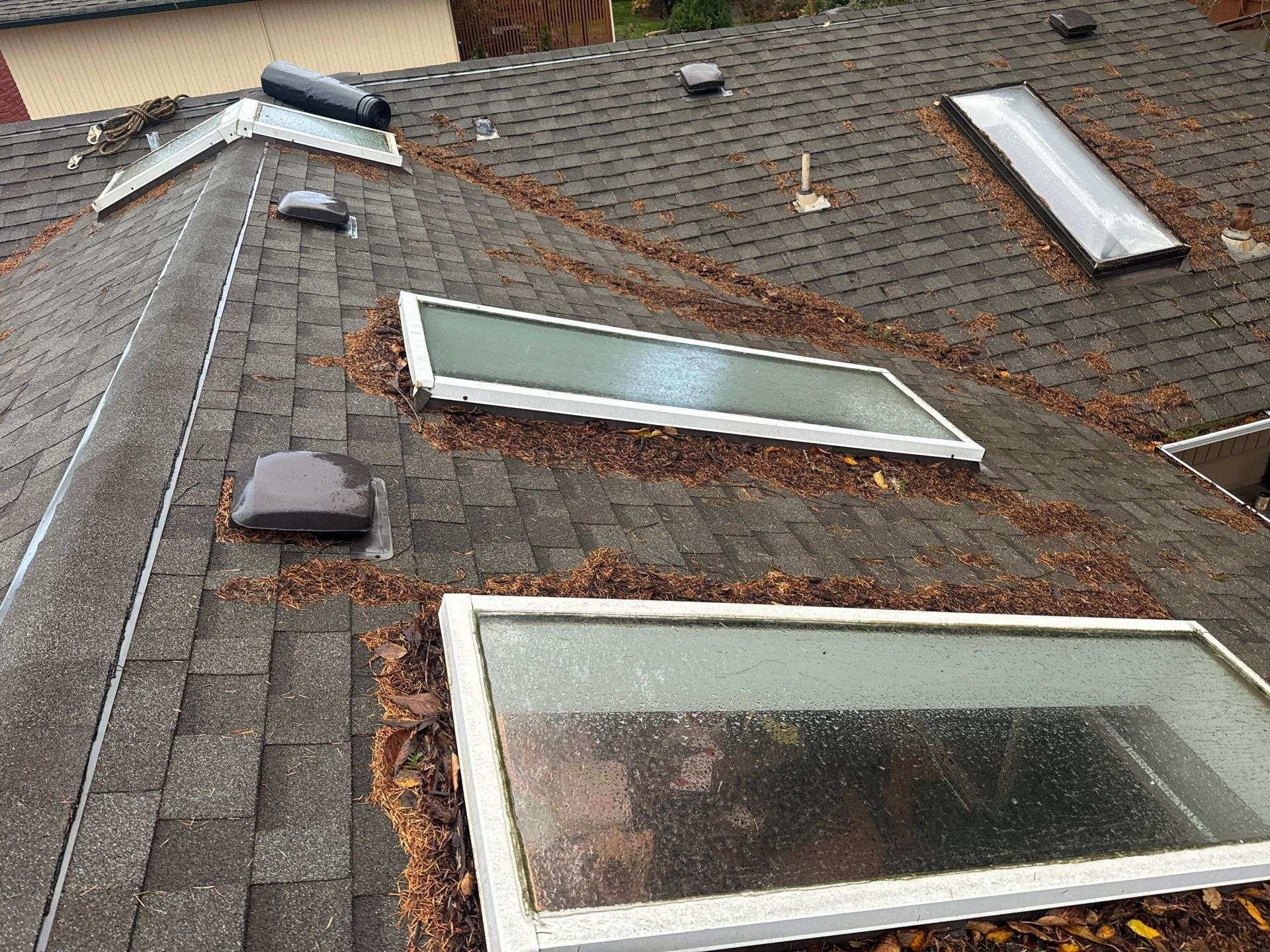 Why Is a Deck-Mounted Skylight More Likely to Leak Than a Curb-Mounted ...