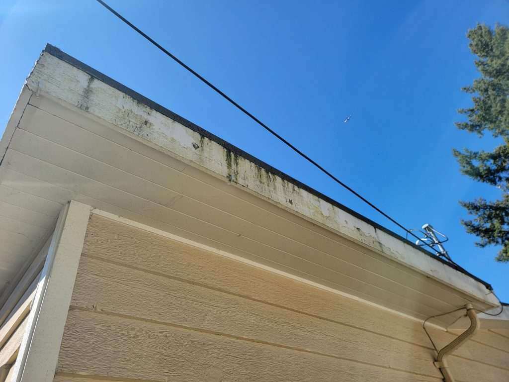 4 Common Problems with Built-in Gutters